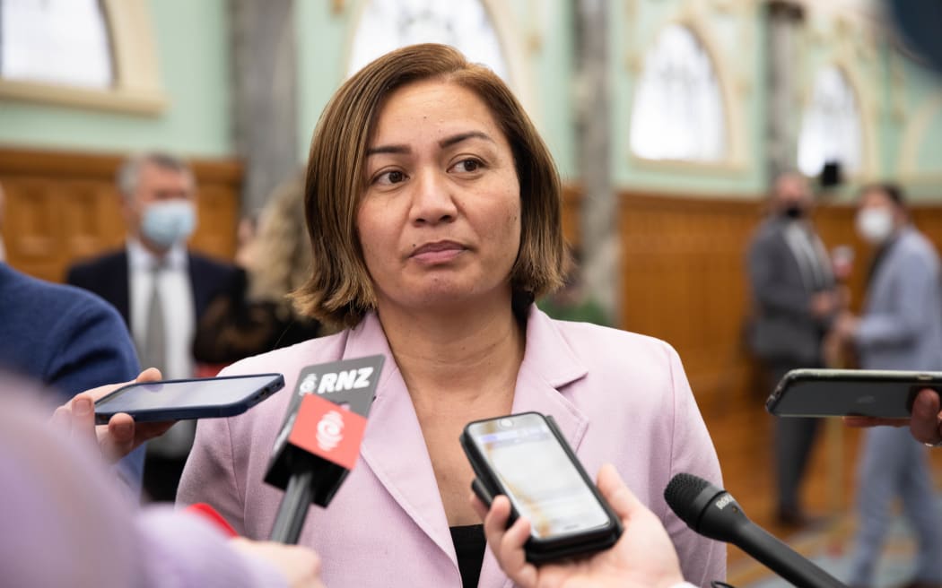 Green Party co-leader nominations open | RNZ News