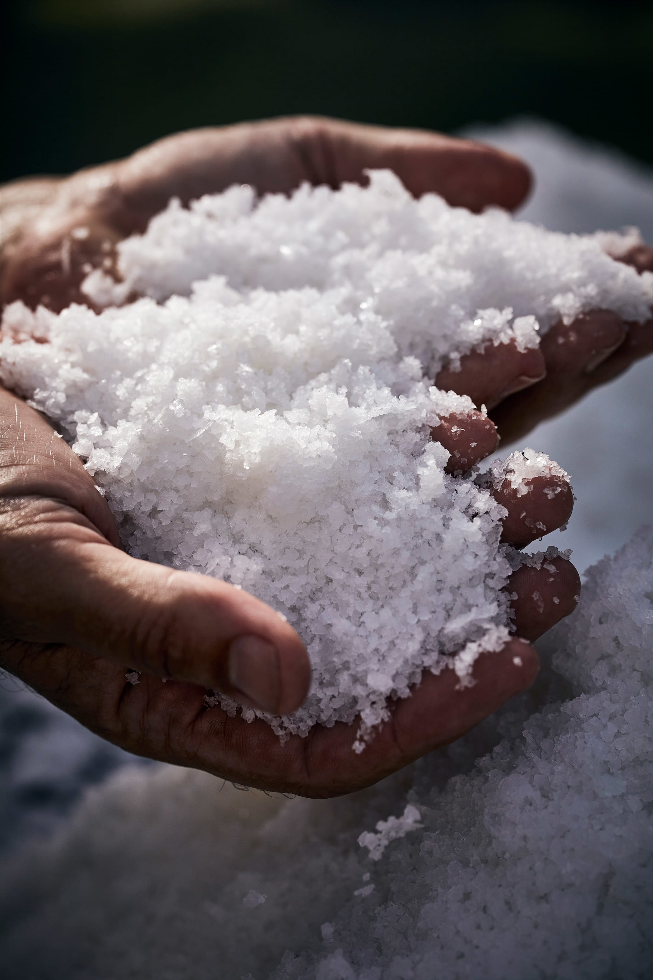 Taipa Salt Pig | A Gallery from Nine To Noon | RNZ National