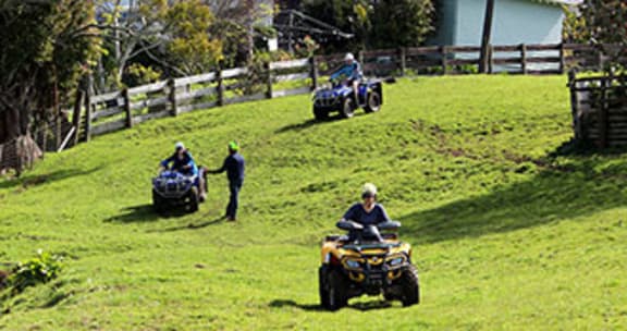 MAGS farm | A Gallery from This Way Up | RNZ National