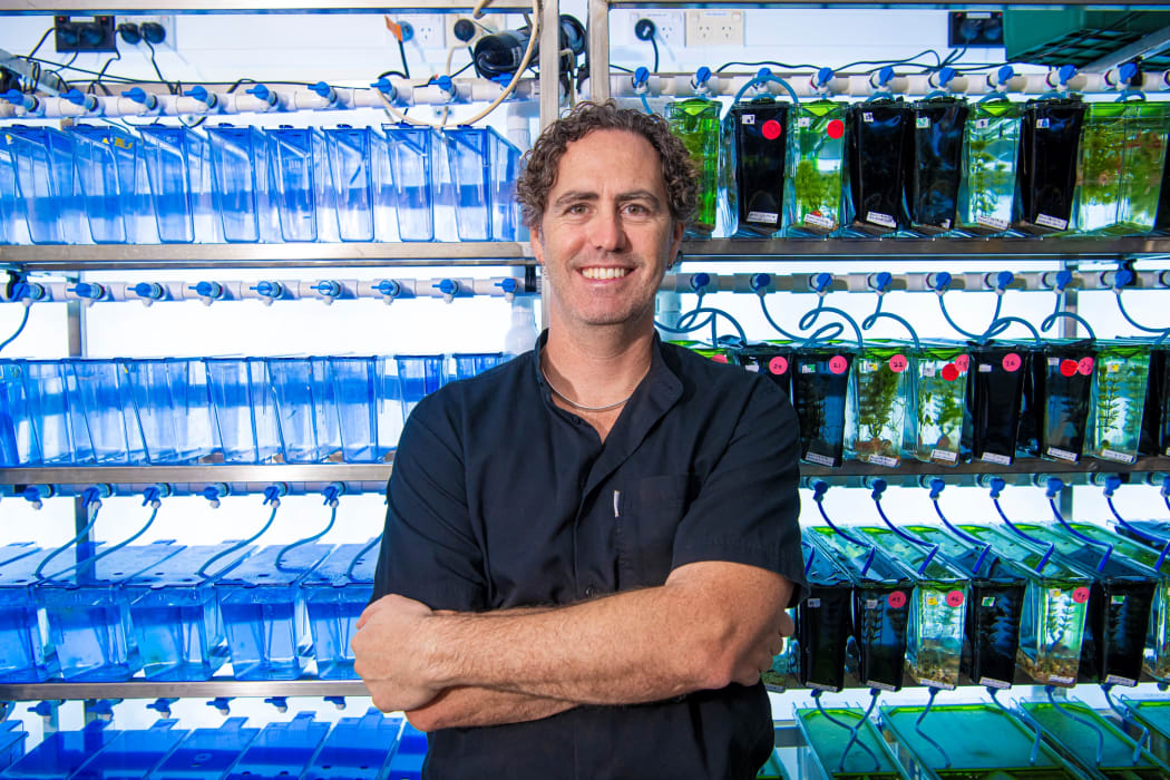 Culum Brown: Fish are way smarter than you think | RNZ