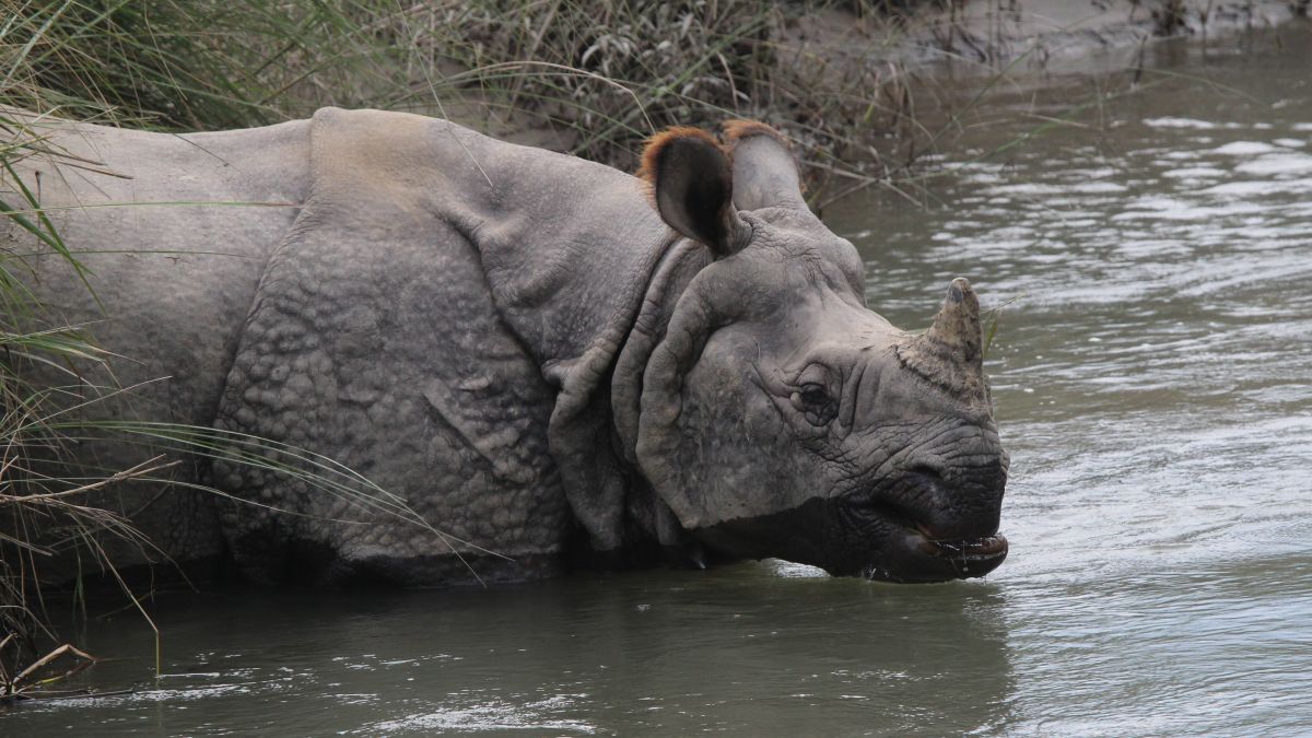 The Weekend with Emile Donovan for Saturday 11 January 2020 The Weekend ...