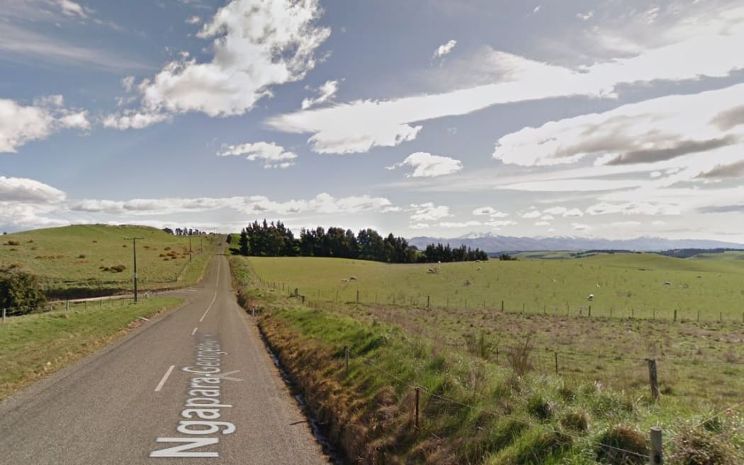 Falling tree breaks woman's leg in North Otago | RNZ News