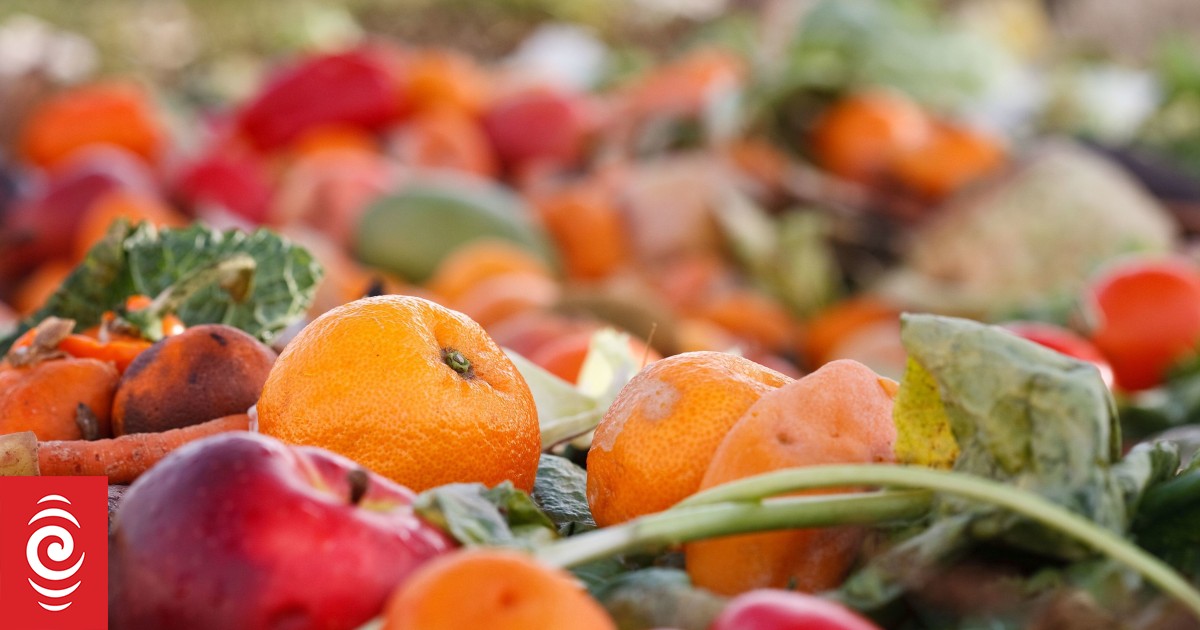 New Zealanders discard food worth about $2.4b in a year | RNZ News