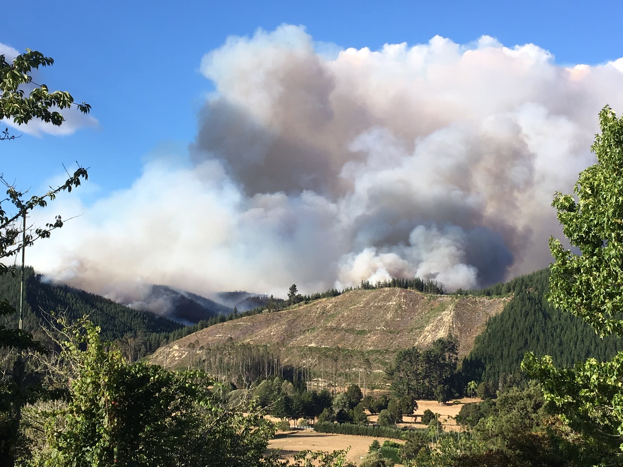 Fire ravages Pigeon Valley near Nelson | A Gallery from News | RNZ