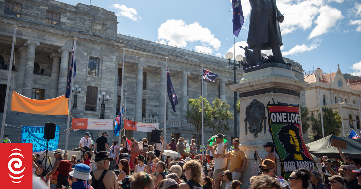 Government security group meets over protests at Parliament | RNZ News