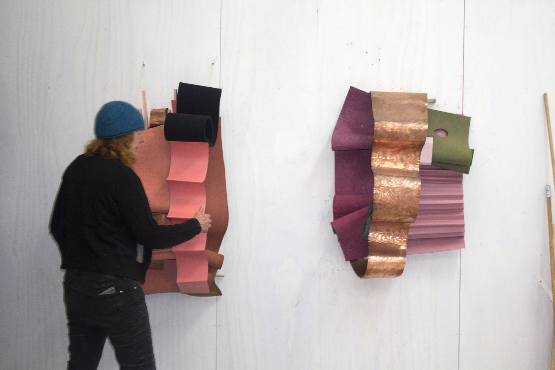 Sculptor Louise McRae shows how animals adapt to climate change | RNZ