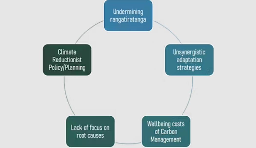 Solving the climate adaptations that can make problems worse | RNZ News