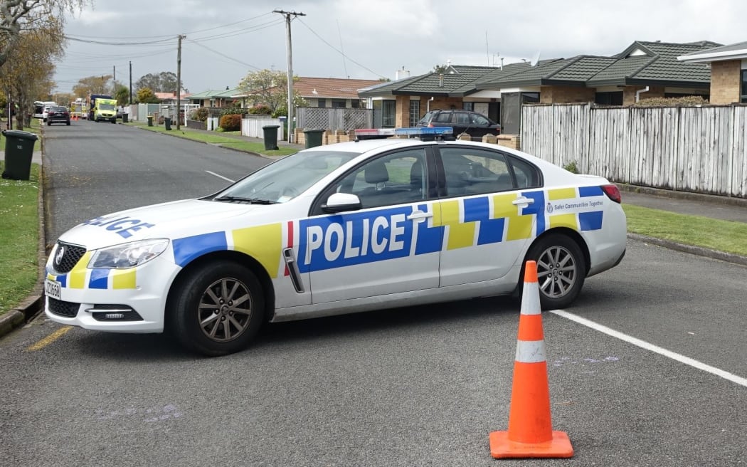 When should police chase fleeing vehicles? | RNZ News