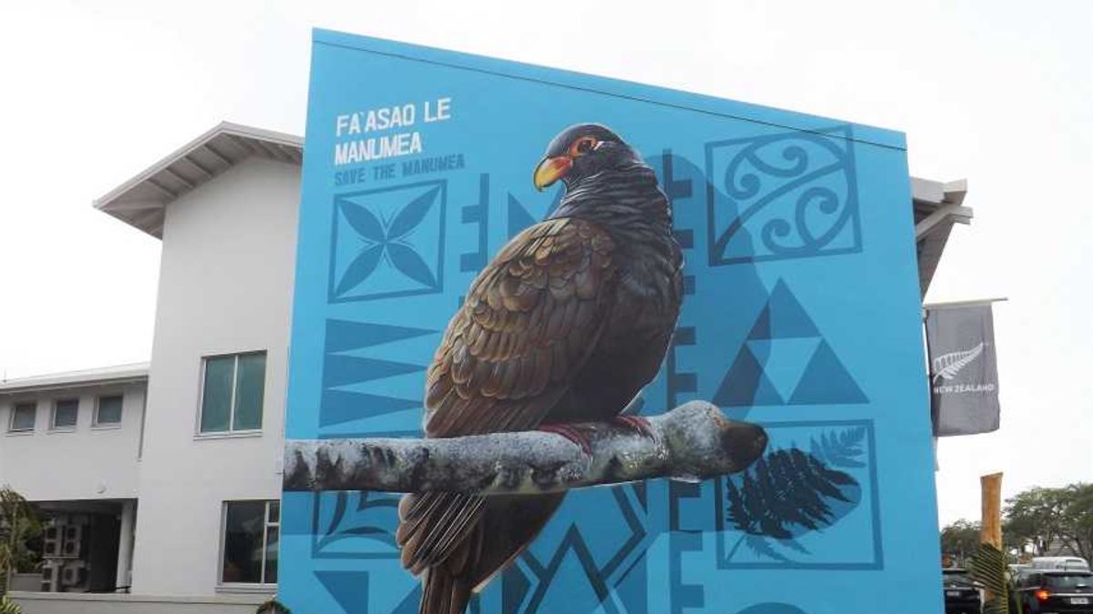 NZ joins Samoa campaign to save manumea national bird | RNZ News