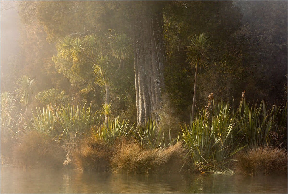 Nine To Noon for Thursday 1 December 2022 Nine To Noon | RNZ