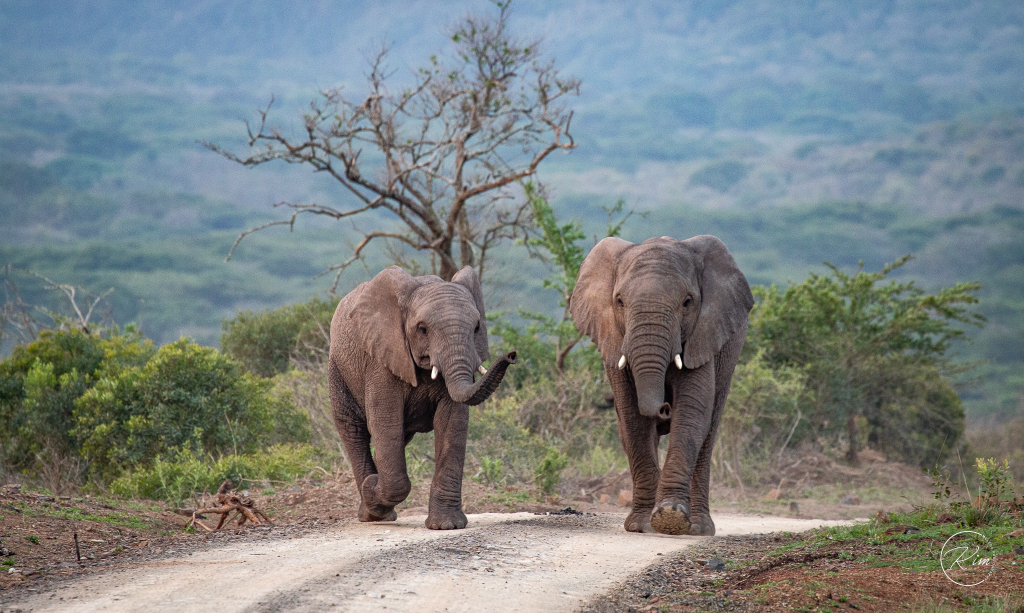 Nine To Noon for Thursday 6 October 2022 Nine To Noon | RNZ