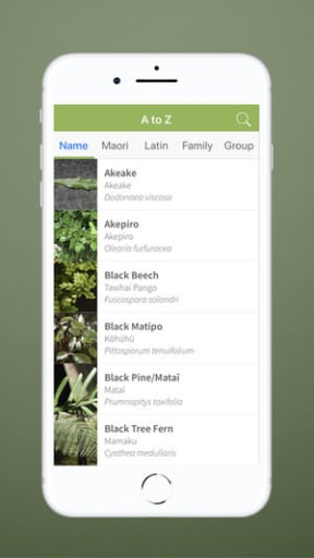 NZ native trees? There's an app for that | RNZ