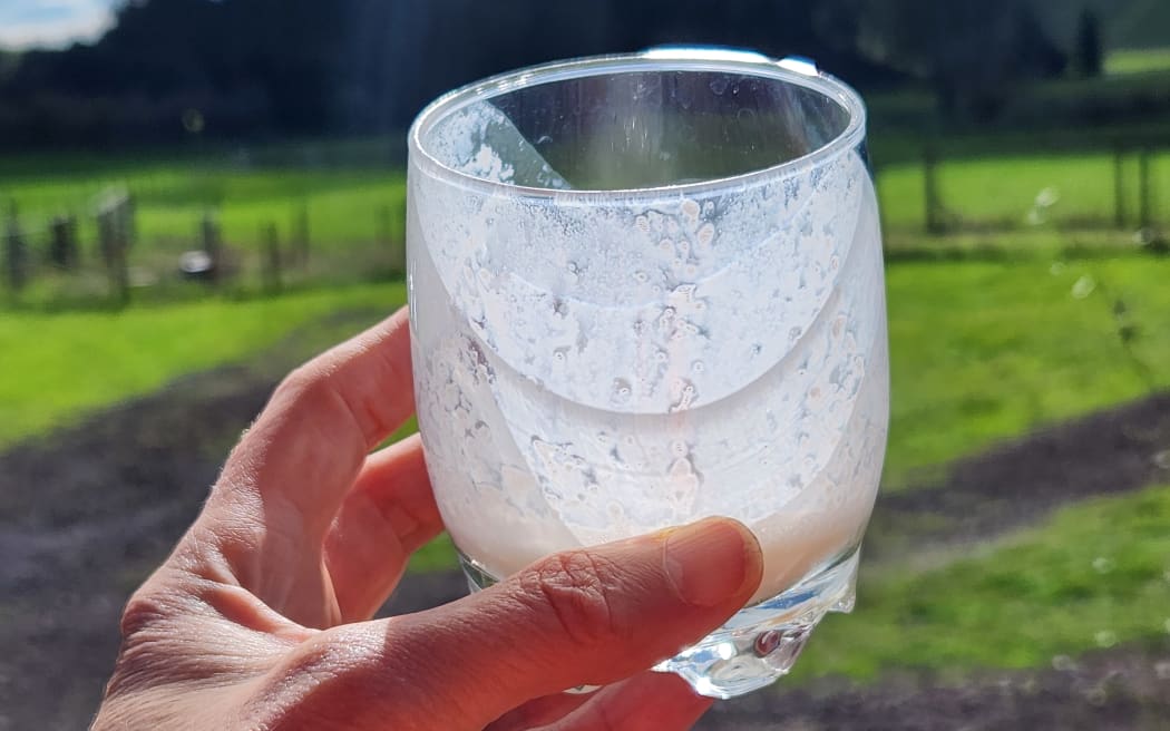 Dairying with deer | RNZ