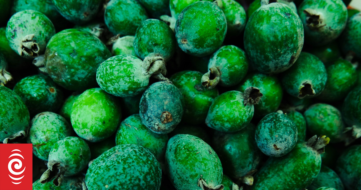 Fruit and Vege Report with Glenn Forsyth | RNZ