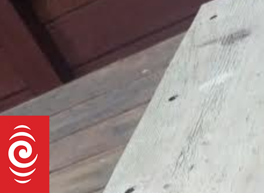 The Panel with Mike Rehu and Catherine Robertson (Part 2) | RNZ