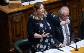 Plain Language Bill passes into law | RNZ News