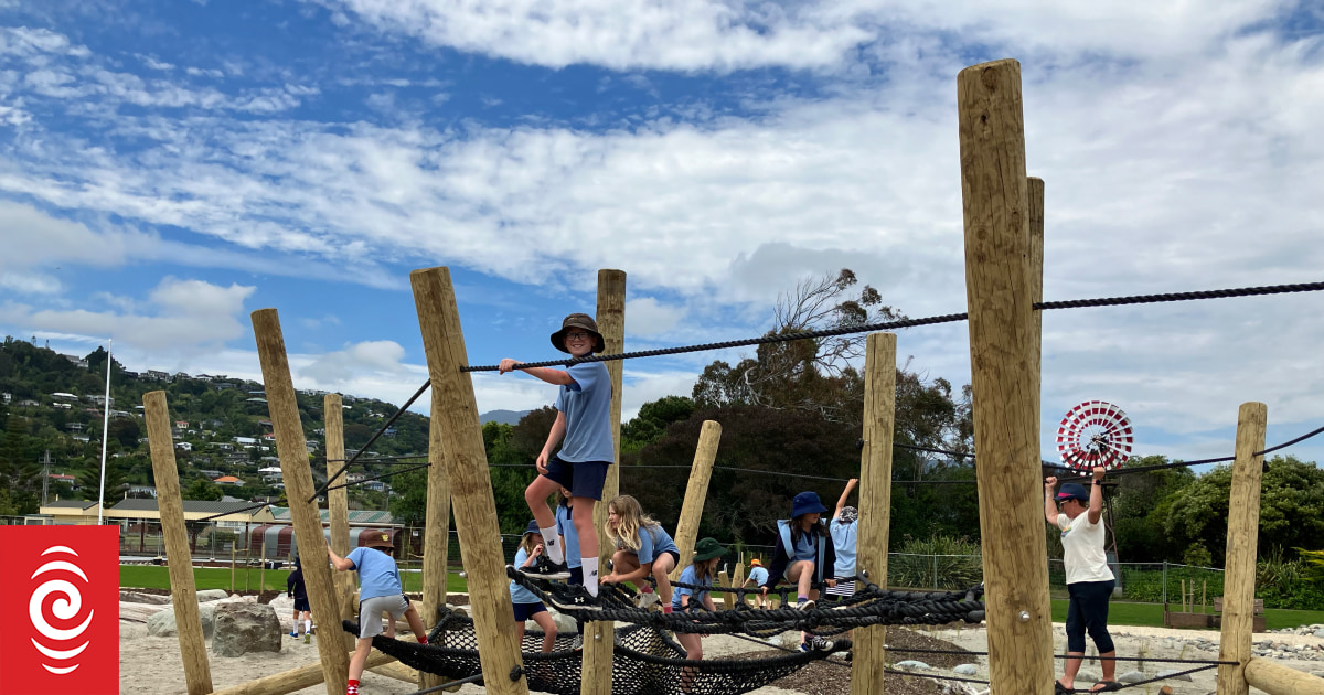 Park covered with algae for decades reopens as natural play space | RNZ ...