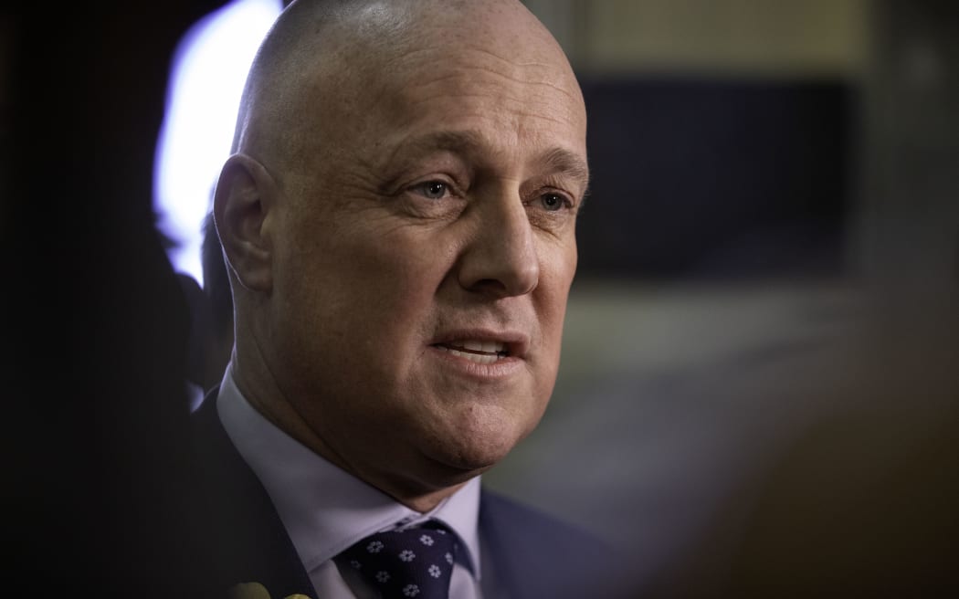 PM Christopher Luxon makes joint call with allies for a pause in Gaza ...