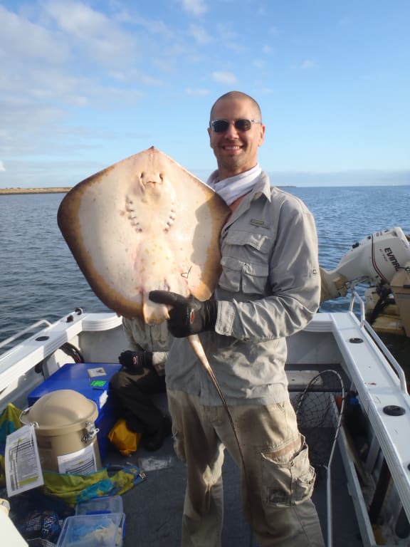 Venom Doc by Bryan Fry | A Gallery from Afternoons | RNZ National