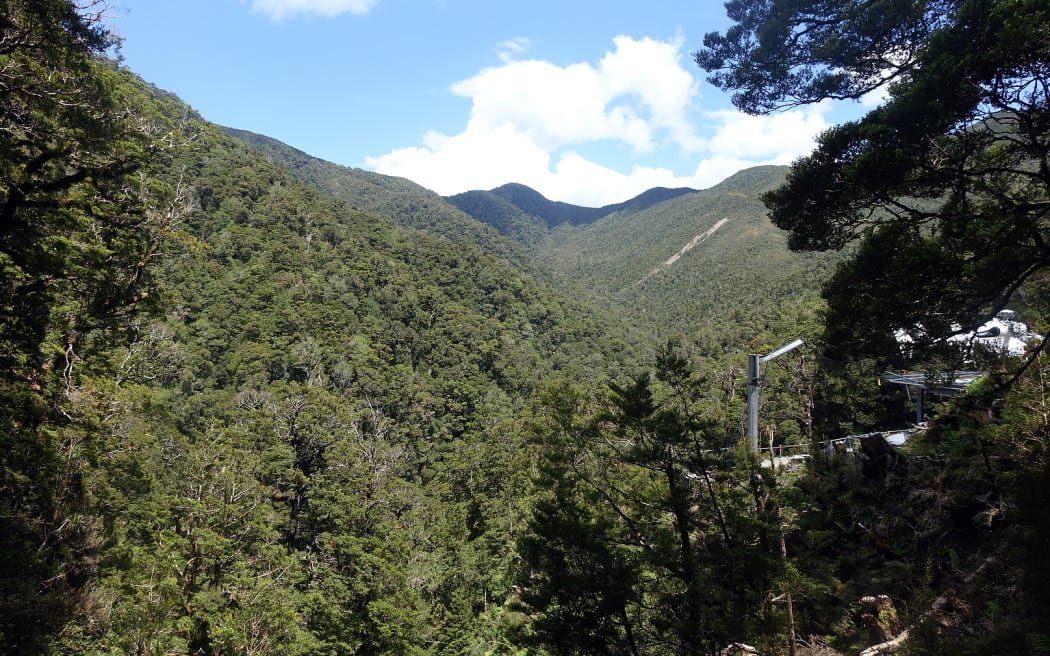Great Walk in memory of Pike River dead | RNZ News