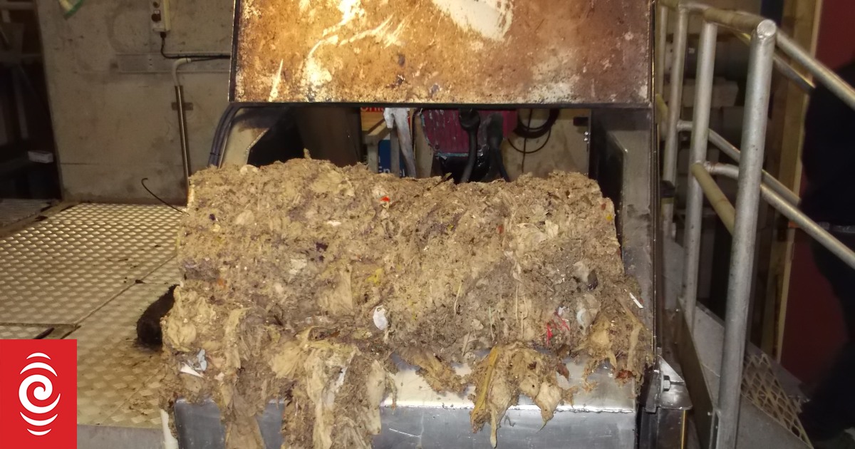 Discharge almost causes treatment plant failure | RNZ News