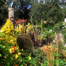 Gordon Collier's magical home gardens | RNZ