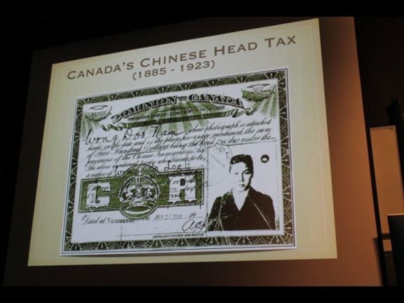 Escape to Gold Mountain – Re-drawing history | A Gallery from Voices ...