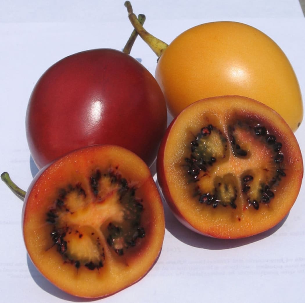 What to do with Tamarillos | RNZ