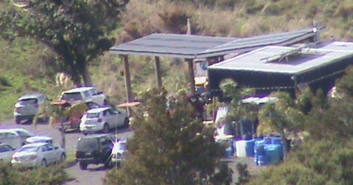 Reports Auckland shooting club continuing to operate despite court ...