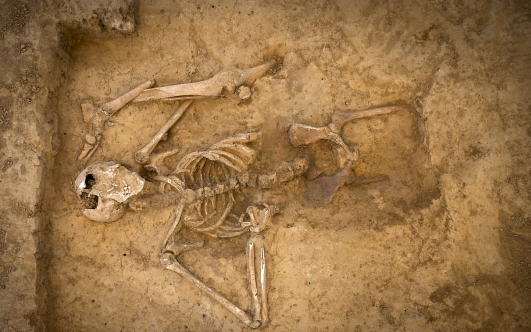 Battle of Waterloo skeletons uncovered | RNZ