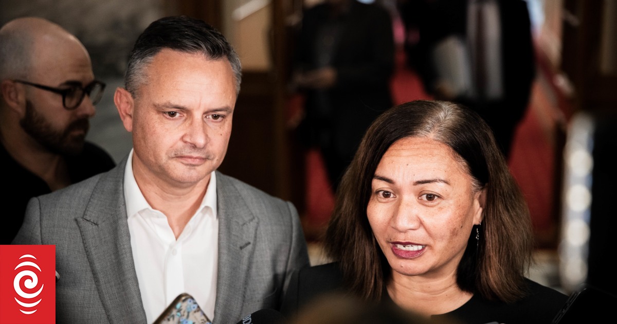 Marama Davidson won't be apologising for cis white men comments | RNZ