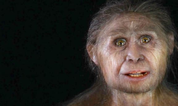 The investigations into the diminutive early human Homo floresiensis ...