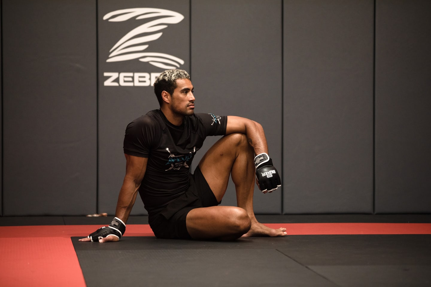 UFC fighter Carlos Ulberg: 'This is my career, but also my university ...