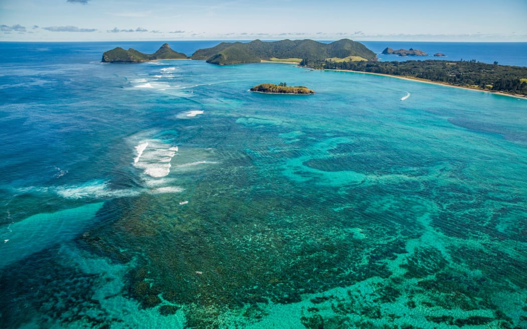 Student rediscovers 'extinct' cockroach on Lord Howe Island | RNZ News
