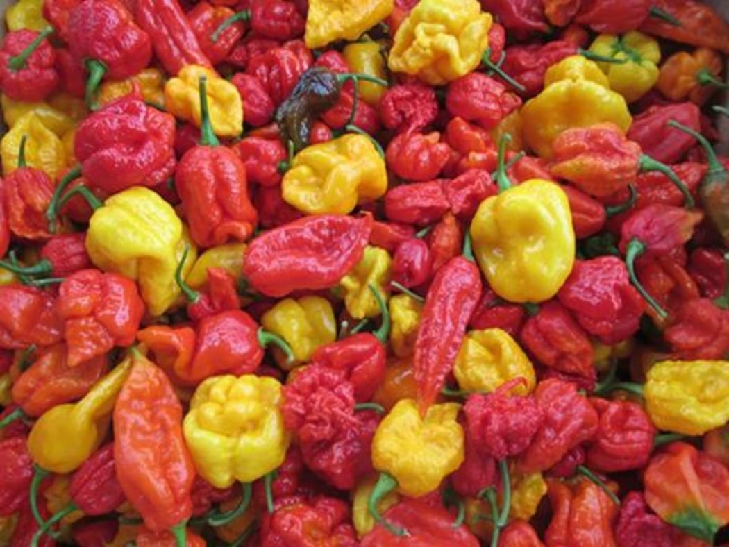 Playing with fire: the Kiwi chilli sauce 'punching above its weight' | RNZ
