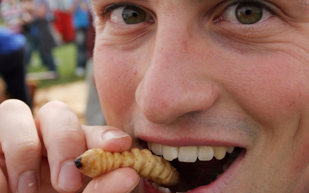  Bring Us Your Huhu Grubs RNZ News