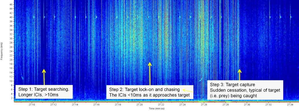 "We have a lot to learn and the world has a lot to learn from us ...