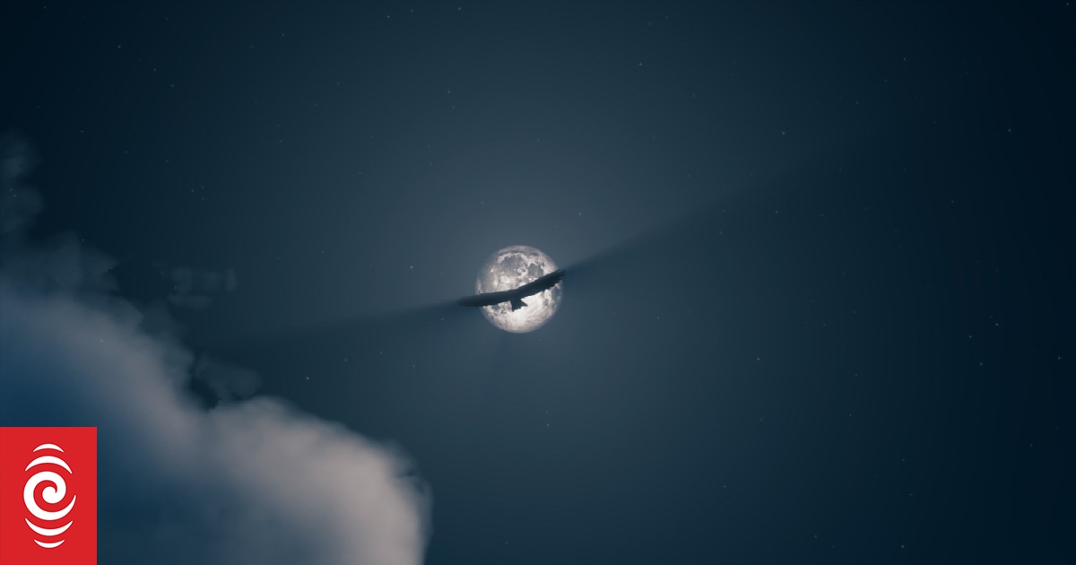 Claire COWAN: Legend of the Trojan Bird | RNZ