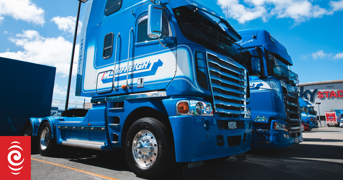 Mainfreight half year profit up 79% to $130m | RNZ News