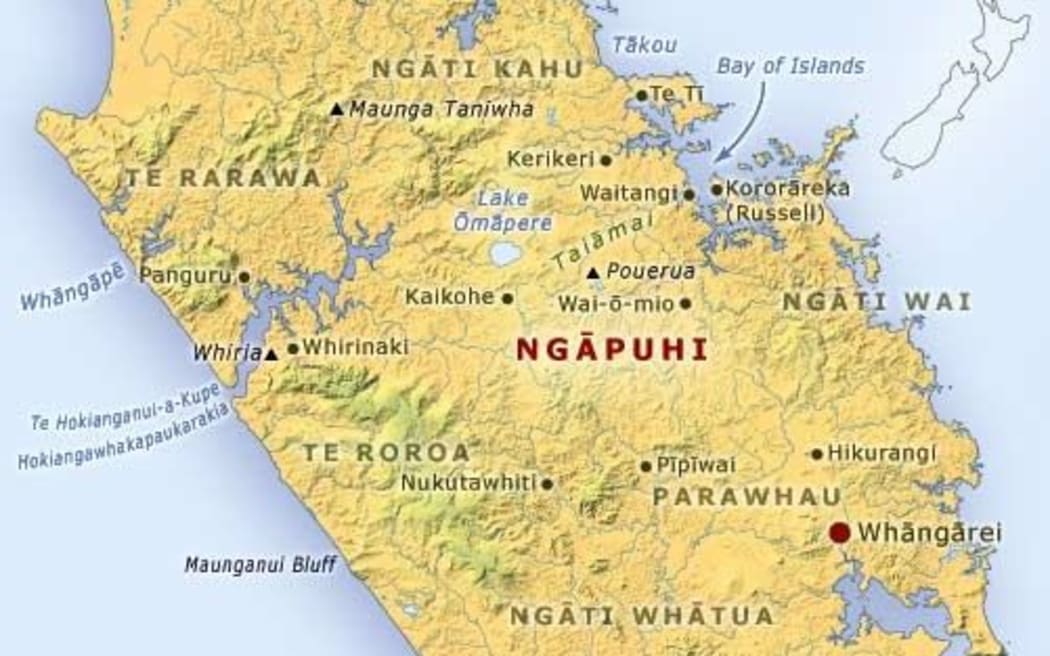 Northland hapū call for treaty negotiation halt | RNZ News