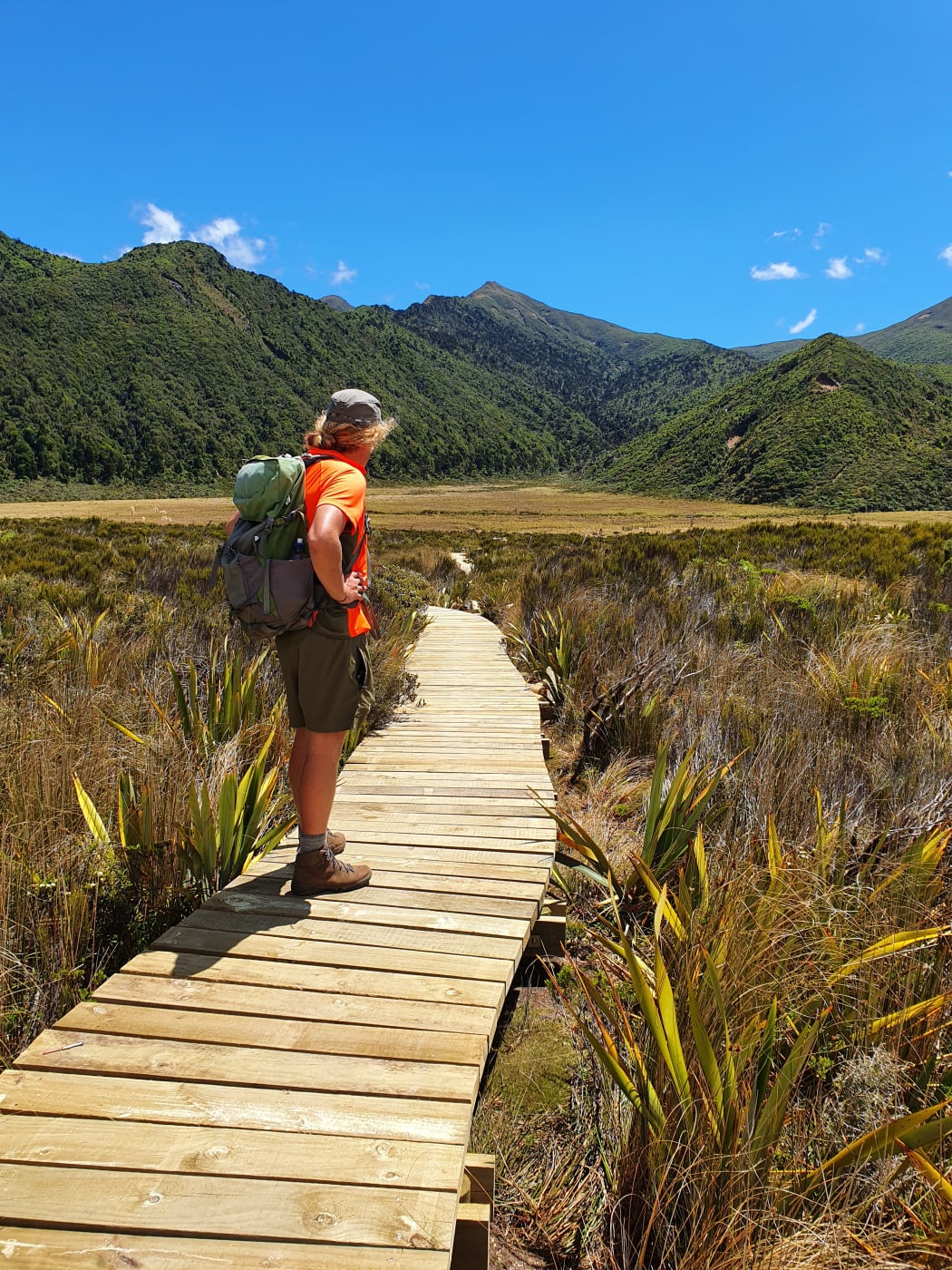 Boardwalk to protect sensitive wetlands in Te Papakura o Taranaki | RNZ ...