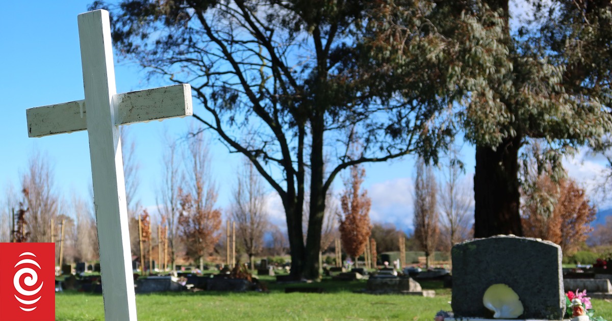 Wellington City Council proposes reusable graves | RNZ
