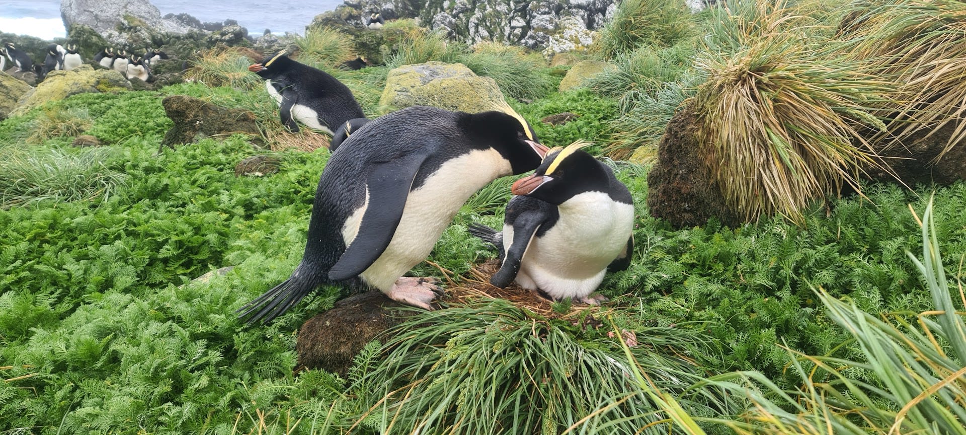 Nine To Noon for Tuesday 14 March 2023 Nine To Noon | RNZ