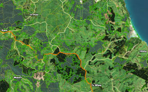 Significant Natural Areas (SNAs): What you need to know | RNZ News