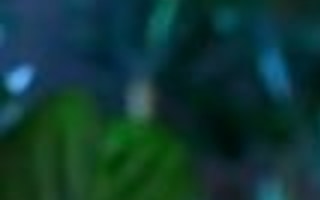 Caolan Robertson: Creating an off-ramp from the alt-right | RNZ