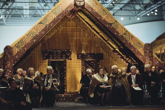 Ko Rongowhakaata: The Story of Light and Shadow | A Gallery from Sunday ...