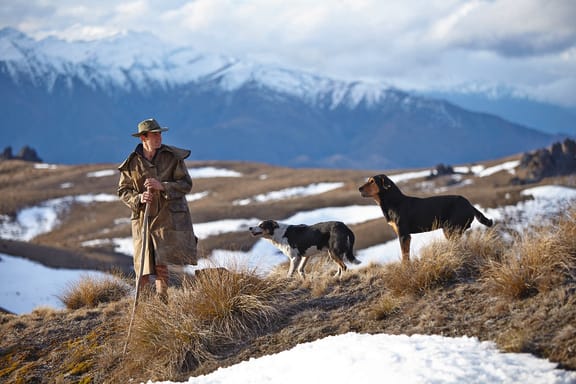 David Darcy | A Gallery from Nine To Noon | RNZ National