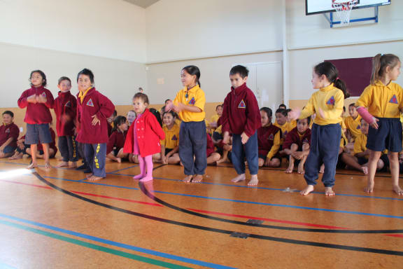 A tiny rural school goes global | RNZ