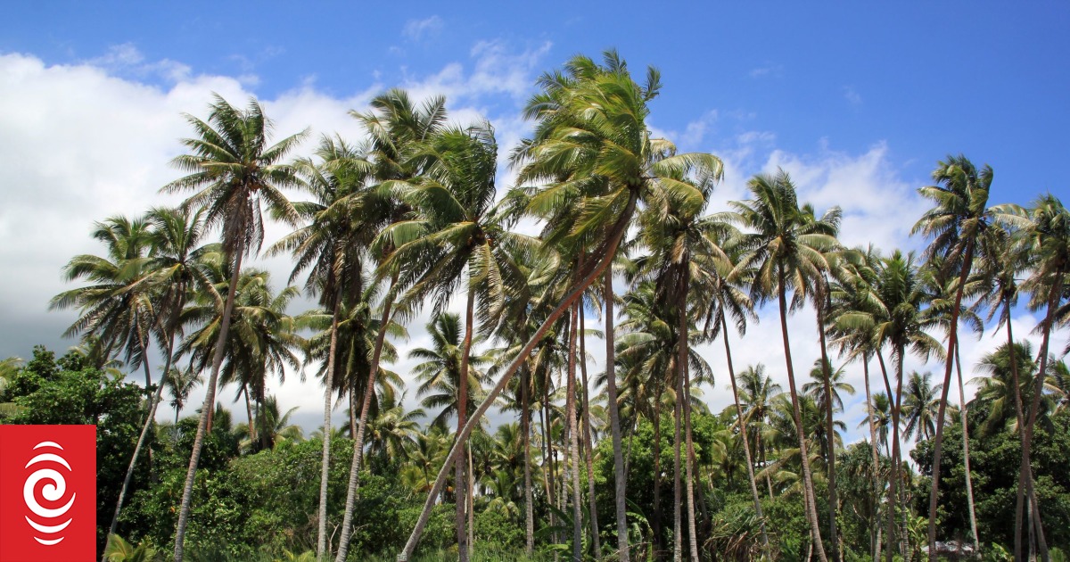 Torba wants to be Vanuatu's first 'Organic Province' | RNZ News