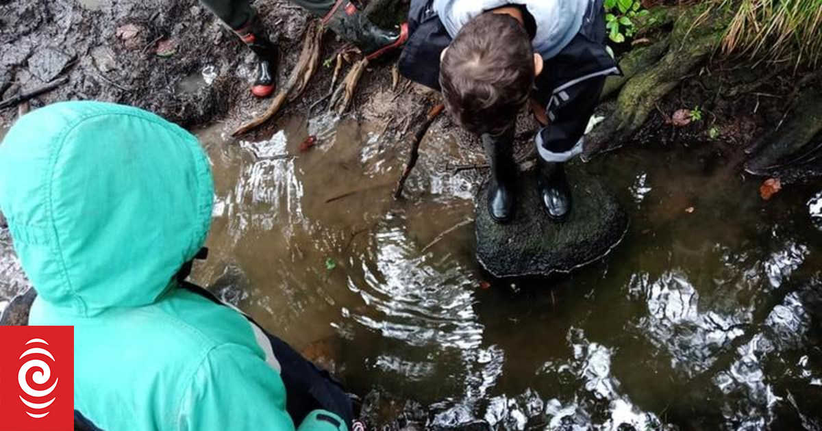 Ako Space: taking learning to the bush | RNZ